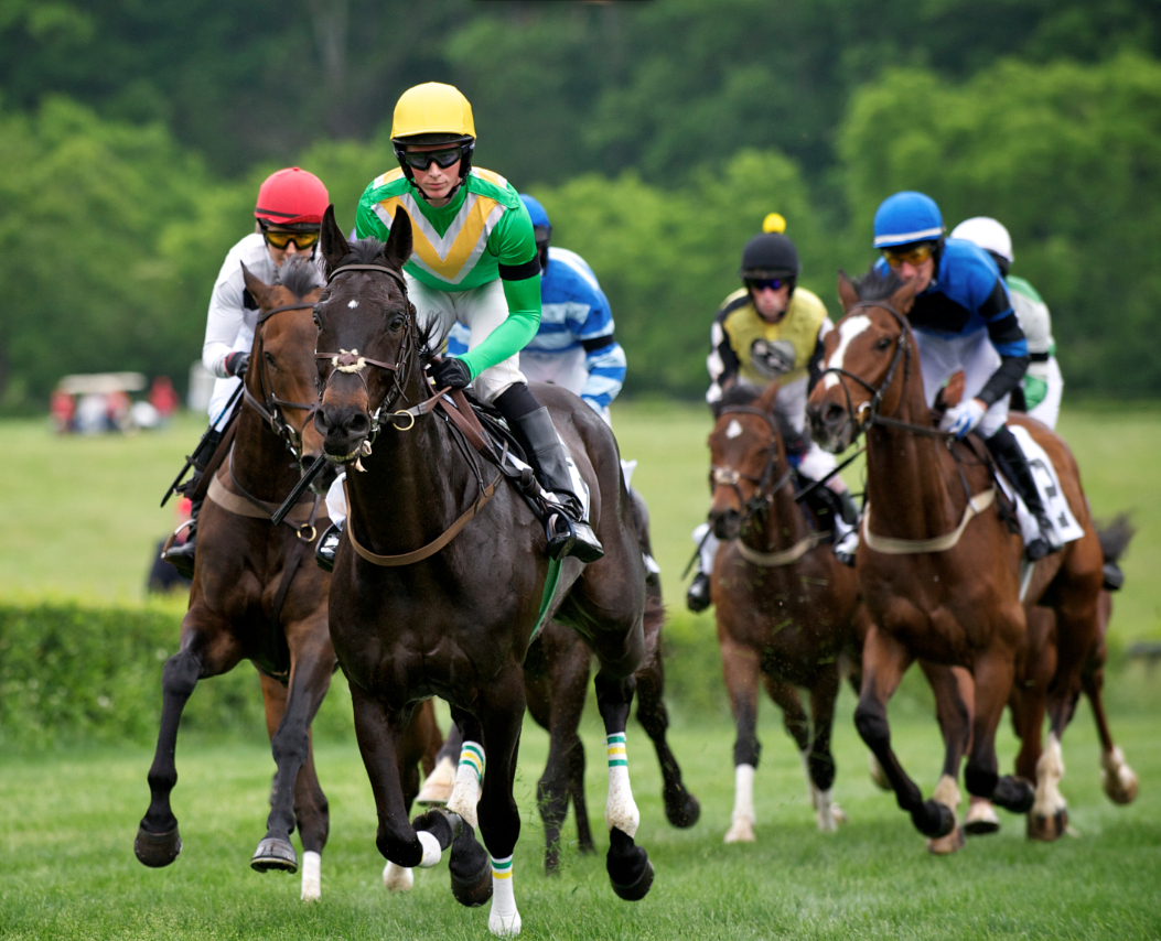 Race Horse Happenings Race Horse Happenings